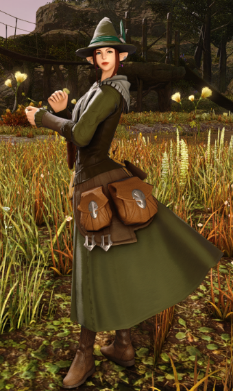 Field Work | Eorzea Collection