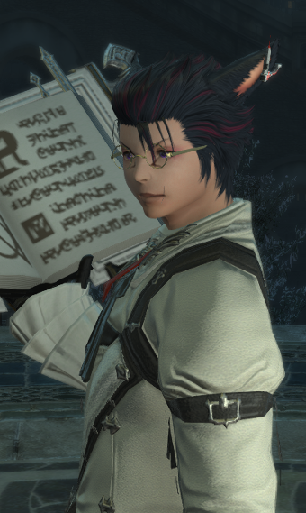 battle medic | Eorzea Collection
