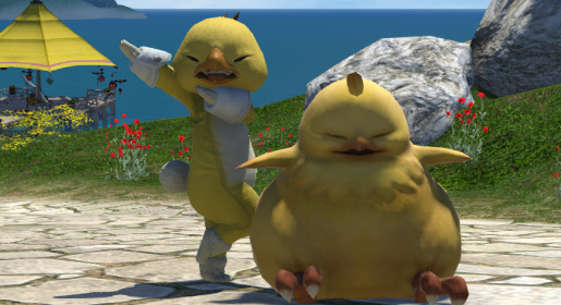 Lala chicken | Eorzea Collection