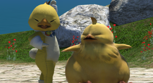 Lala chicken | Eorzea Collection
