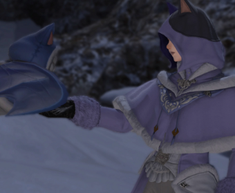 Weatherproof Gaelicat | Eorzea Collection