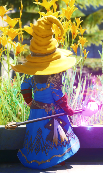 Vivi best boy | Eorzea Collection