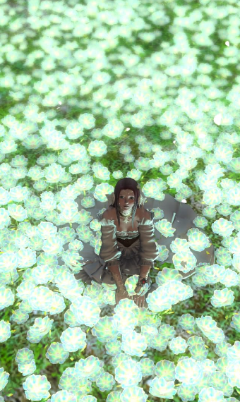 Flowers for Fiene | Eorzea Collection
