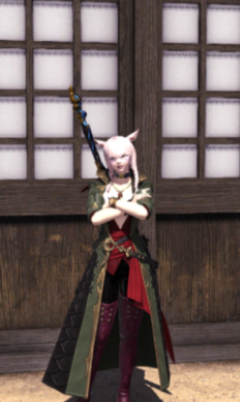 Versatile Adventurer | Eorzea Collection