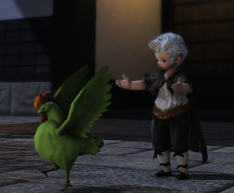 Chicken Attack feat. Lala Takeo Ischi | Eorzea Collection