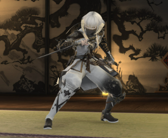 Royal Shadow Walker | Eorzea Collection