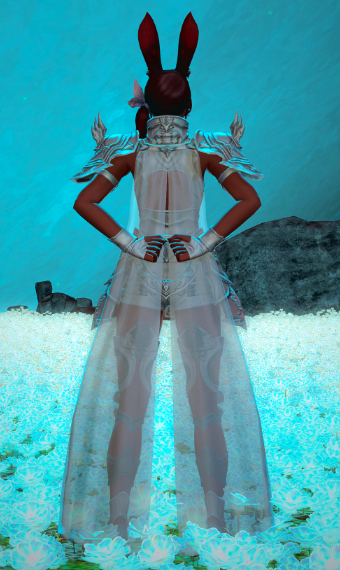 Celestial Aegis | Eorzea Collection