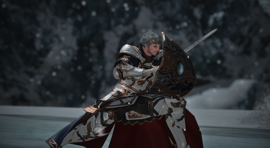 The Paladin | Eorzea Collection
