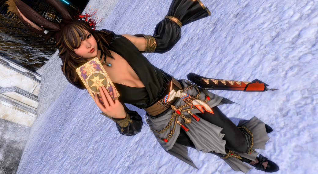 Destiny's Draw | Eorzea Collection