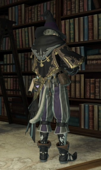 Librarian Mage | Eorzea Collection