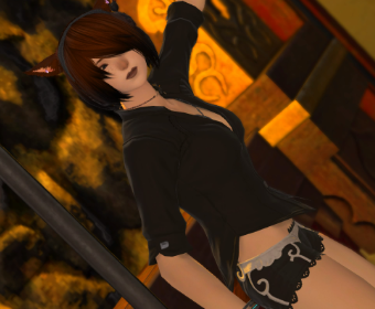 Private Show | Eorzea Collection