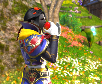 Snow White the Knight | Eorzea Collection