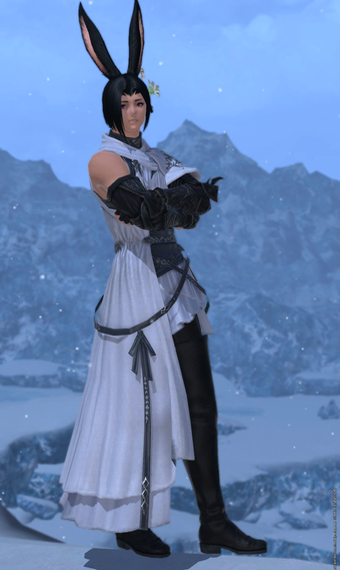 Snow Bun | Eorzea Collection