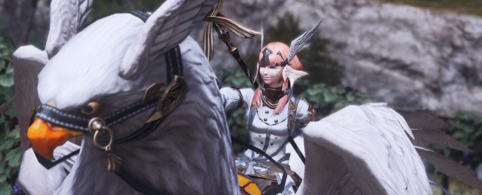 Modern Valkyrie | Eorzea Collection