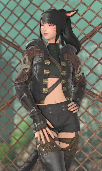 Street Cat | Eorzea Collection