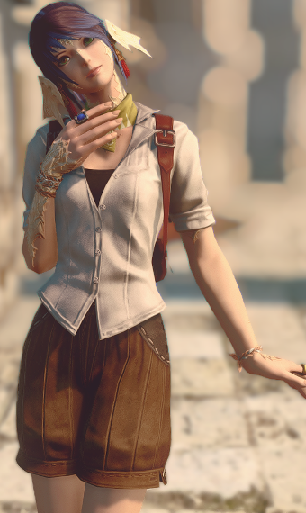 Novice Explorer | Eorzea Collection