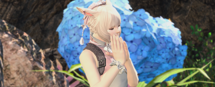 Welcome To My Sanctuary Eorzea Collection