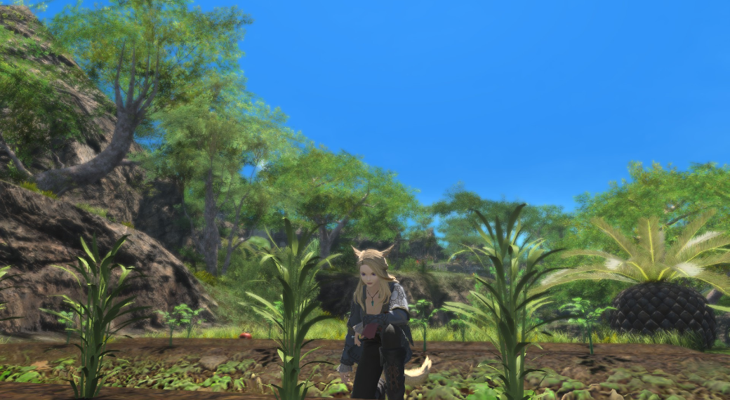 Longing for Home | Eorzea Collection