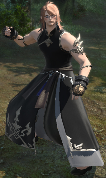 Shadow Fighter | Eorzea Collection