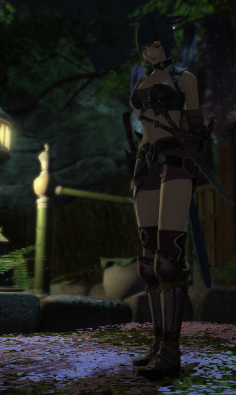 Street Shinobi | Eorzea Collection