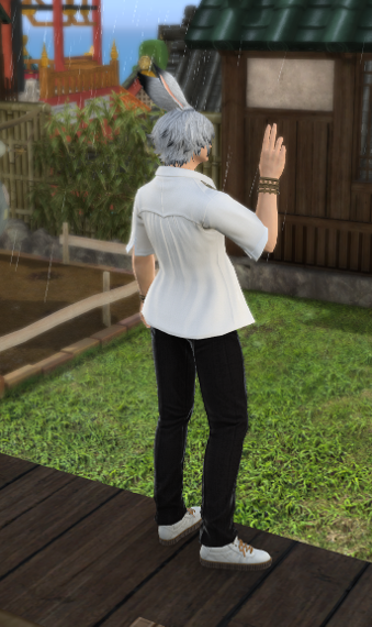 Eternal Solstice Ensemble | Eorzea Collection