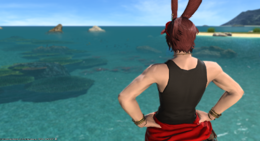 Lifeguard | Eorzea Collection