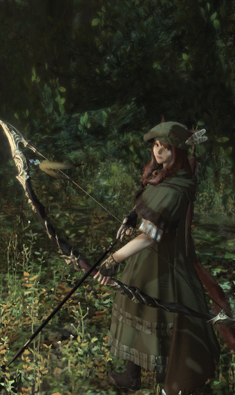 Robin Hood | Eorzea Collection