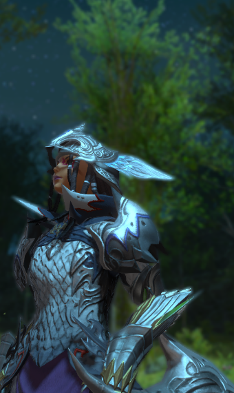 Valhalla Guardian | Eorzea Collection