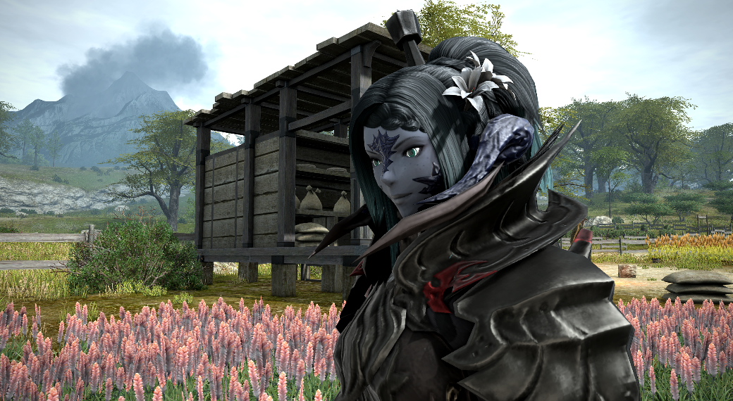 Battle hardened Lynx | Eorzea Collection