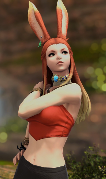 Basic Sportswear | Eorzea Collection