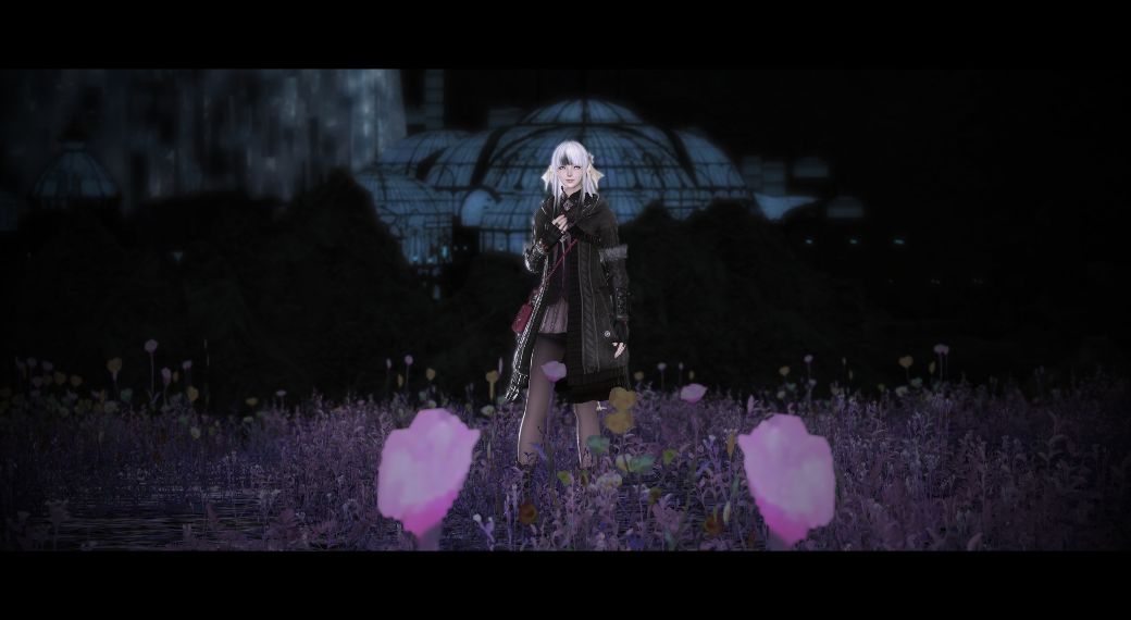 Cozy | Eorzea Collection