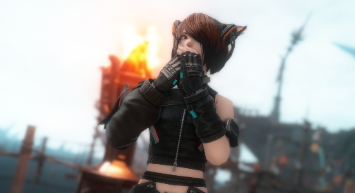 Track Rider | Eorzea Collection