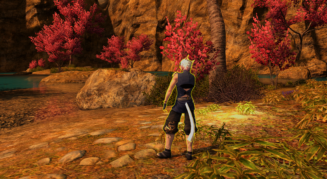 Martial Artist Trainee | Eorzea Collection