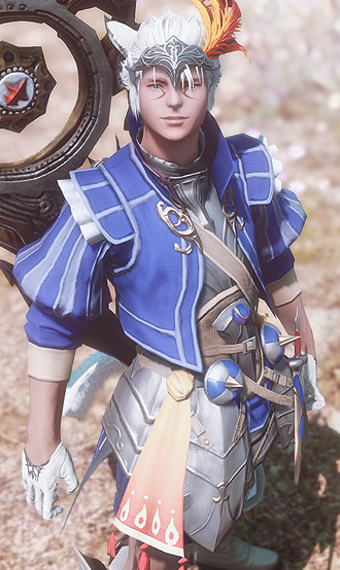 Knight-errant | Eorzea Collection