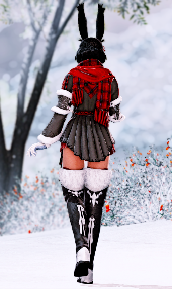 winter | Eorzea Collection