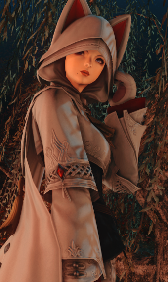 Felicitous Expedition | Eorzea Collection