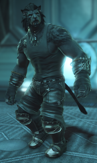 Musclehead (All Tanks) | Eorzea Collection