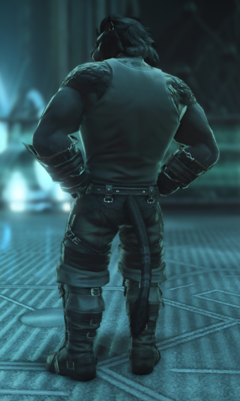 Musclehead (All Tanks) | Eorzea Collection