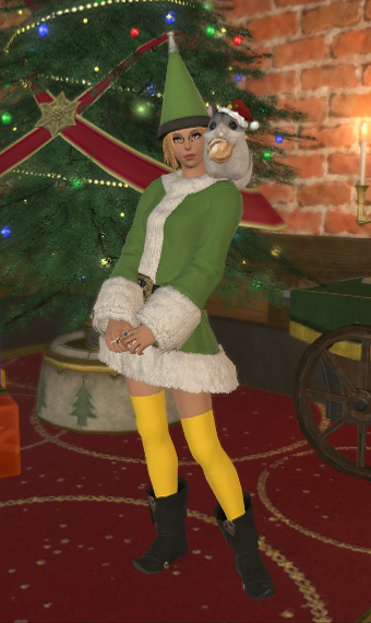 Elf | Eorzea Collection