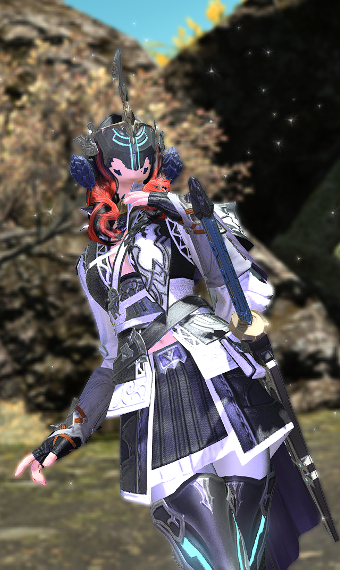 Tech Pirate | Eorzea Collection