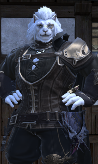Retainer Glamour: Serious Summoner | Eorzea Collection