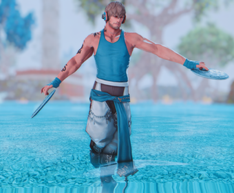 Step Up | Eorzea Collection