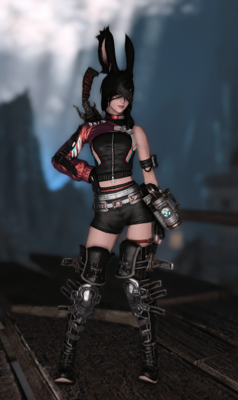 Double Trouble: Gunner | Eorzea Collection