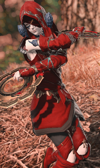 L'assasymphonie | Eorzea Collection