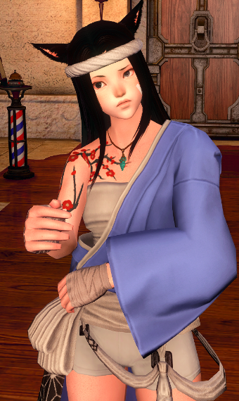 Simple Yet Clean | Eorzea Collection