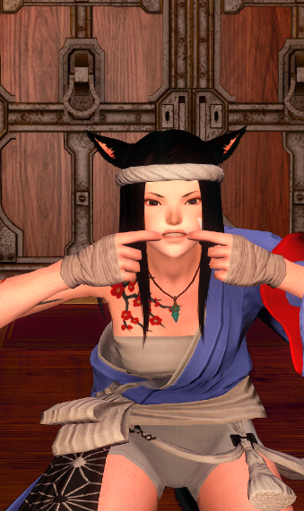 Simple Yet Clean | Eorzea Collection