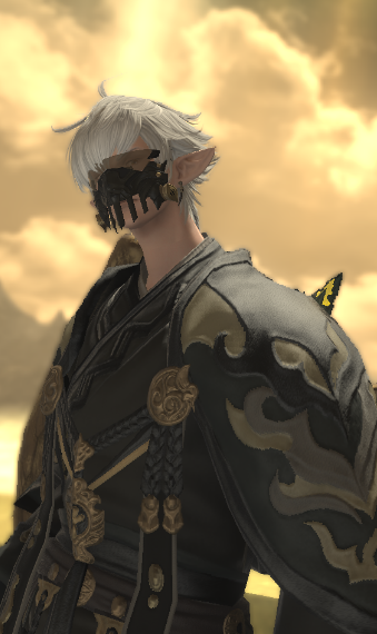 The Holy Elezen | Eorzea Collection