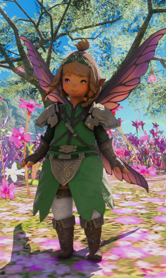 Deu-voted Pixie Knight | Eorzea Collection