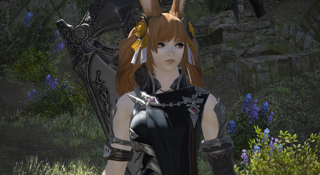 Adventurer's light armor | Eorzea Collection