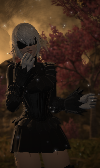 2B Cosplay | Eorzea Collection